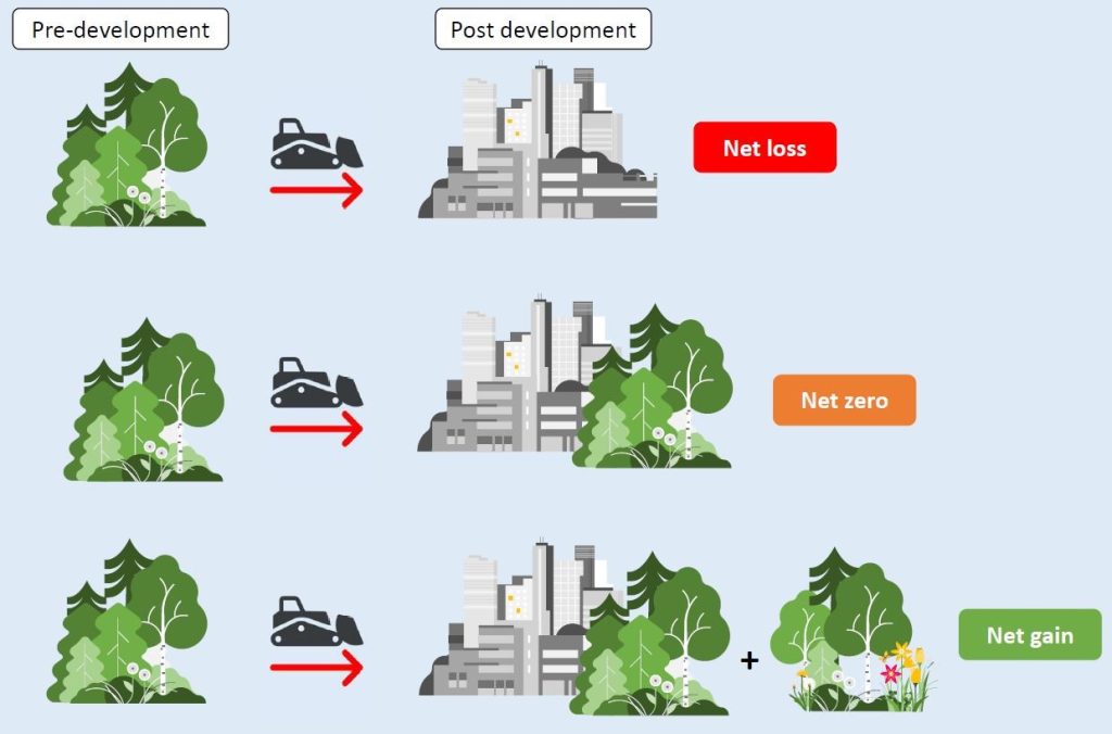 Biodiversity Net Gain – Merseyside Environmental Advisory Service